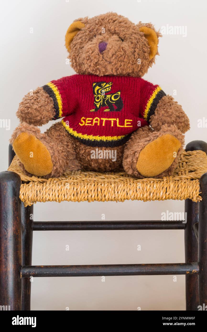 Teddy Bear soft cuddly toy wearing Seattle jumper sitting on stool ...