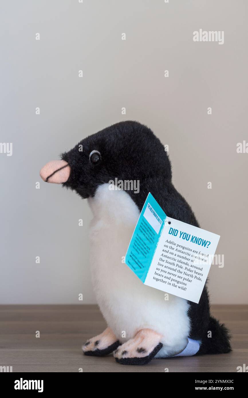 Did you know label about Adelie penguins label on WWF Adelie penguin ...
