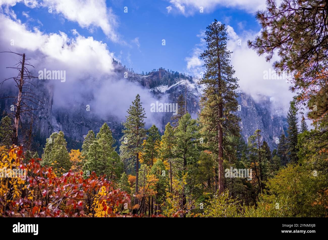 Nature's masterpiece: Yosemite in its frosted glory Stock Photo - Alamy