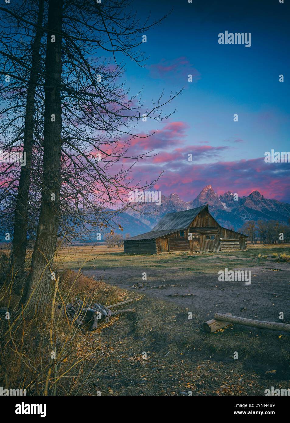 Log cabin in Grand Teton National Park IV, USA Stock Photo - Alamy