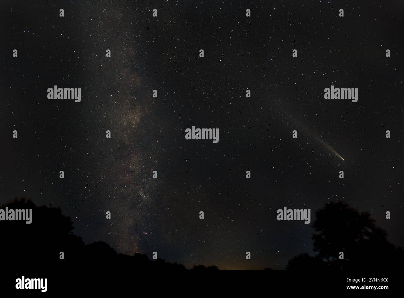 Starry night sky featuring the Milky Way galaxy with a bright ...