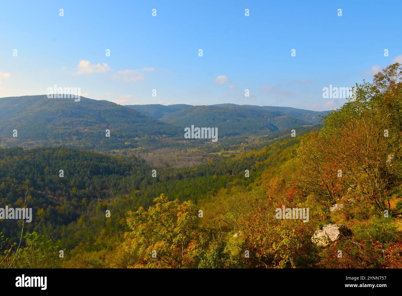 View of forested landscape in Istria, Primorska, Slovenia Stock Photo ...