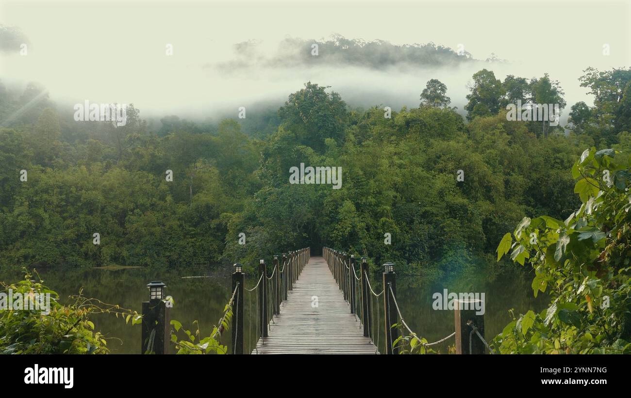 Suspension bridge leading into lush green jungle with mist-covered Stock Photo - Alamy