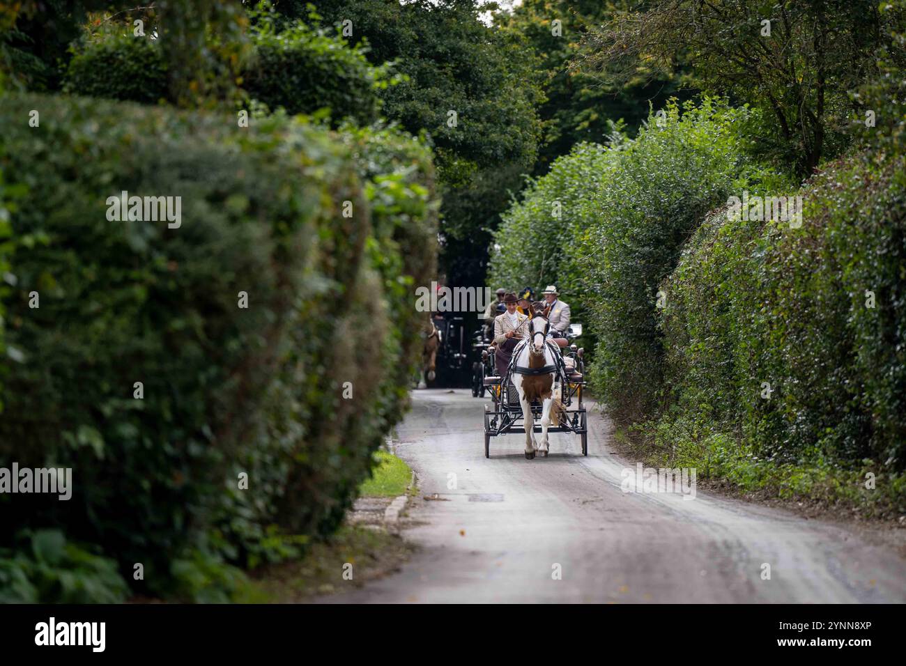 British Driving Society Event in Sarratt, Hertfordshire, various UK ...