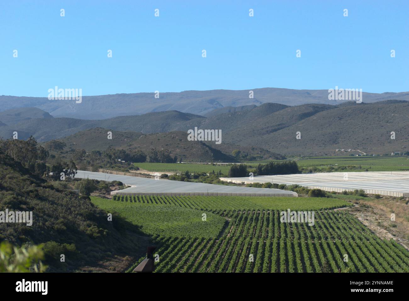 Crop farm in a valley in between hills Stock Photo - Alamy