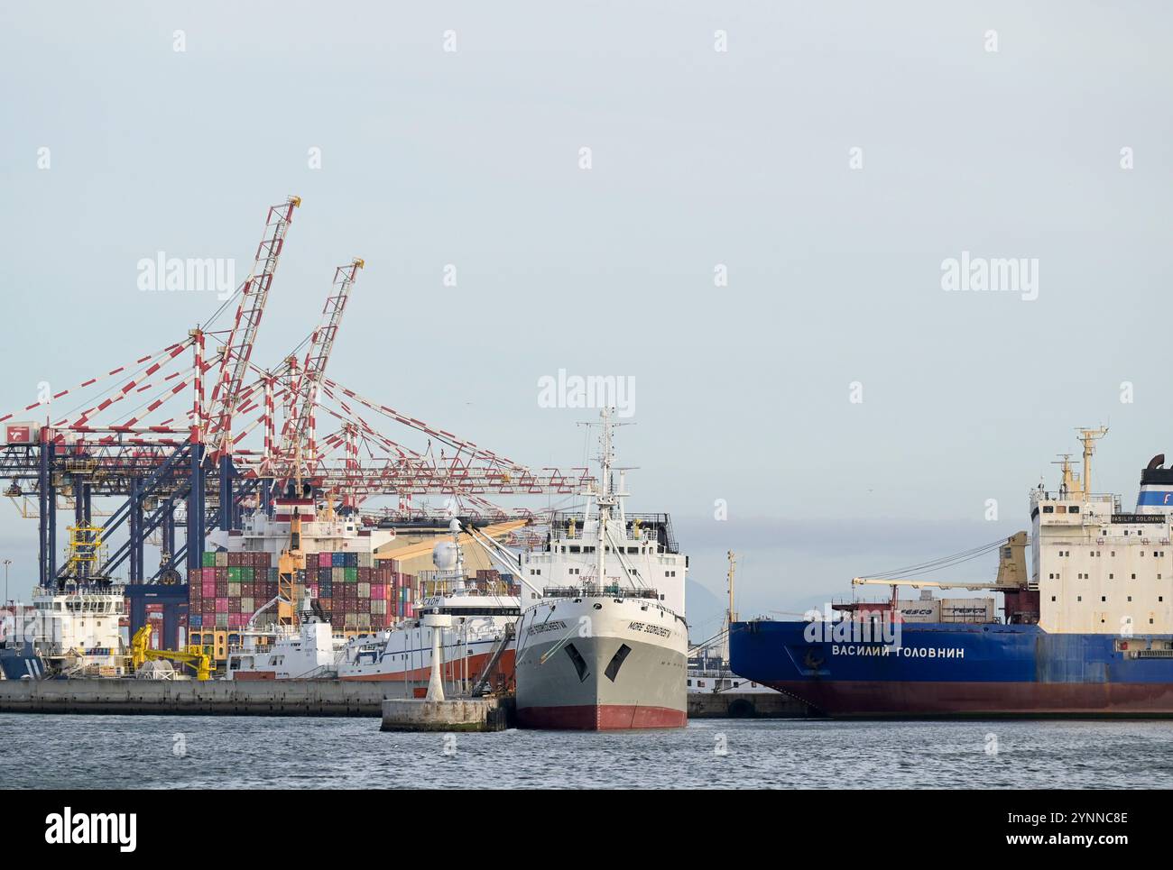 SOUTH AFRICA, Cape Town port, Transnet Port Terminals TPT of Transnet ...