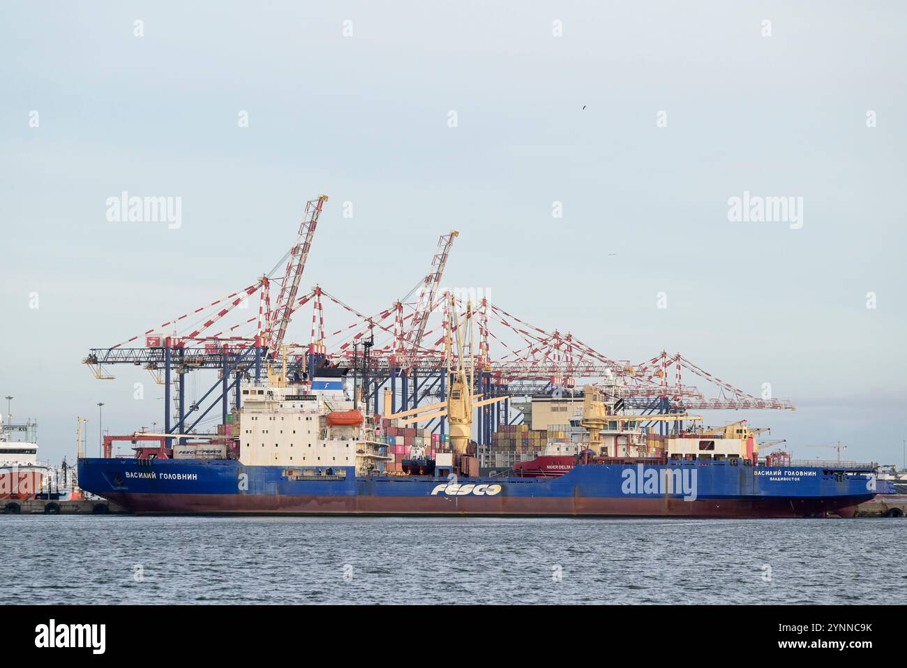 Transnet Port Terminals Logo