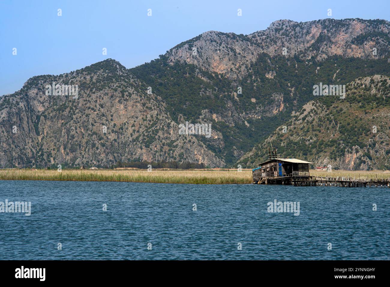 Estuary lake hi-res stock photography and images - Alamy