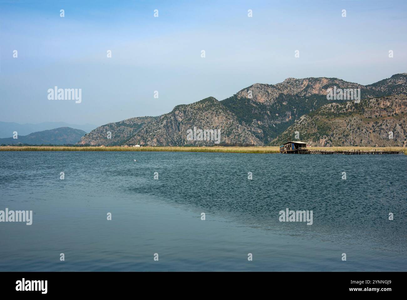 Estuary lake hi-res stock photography and images - Alamy