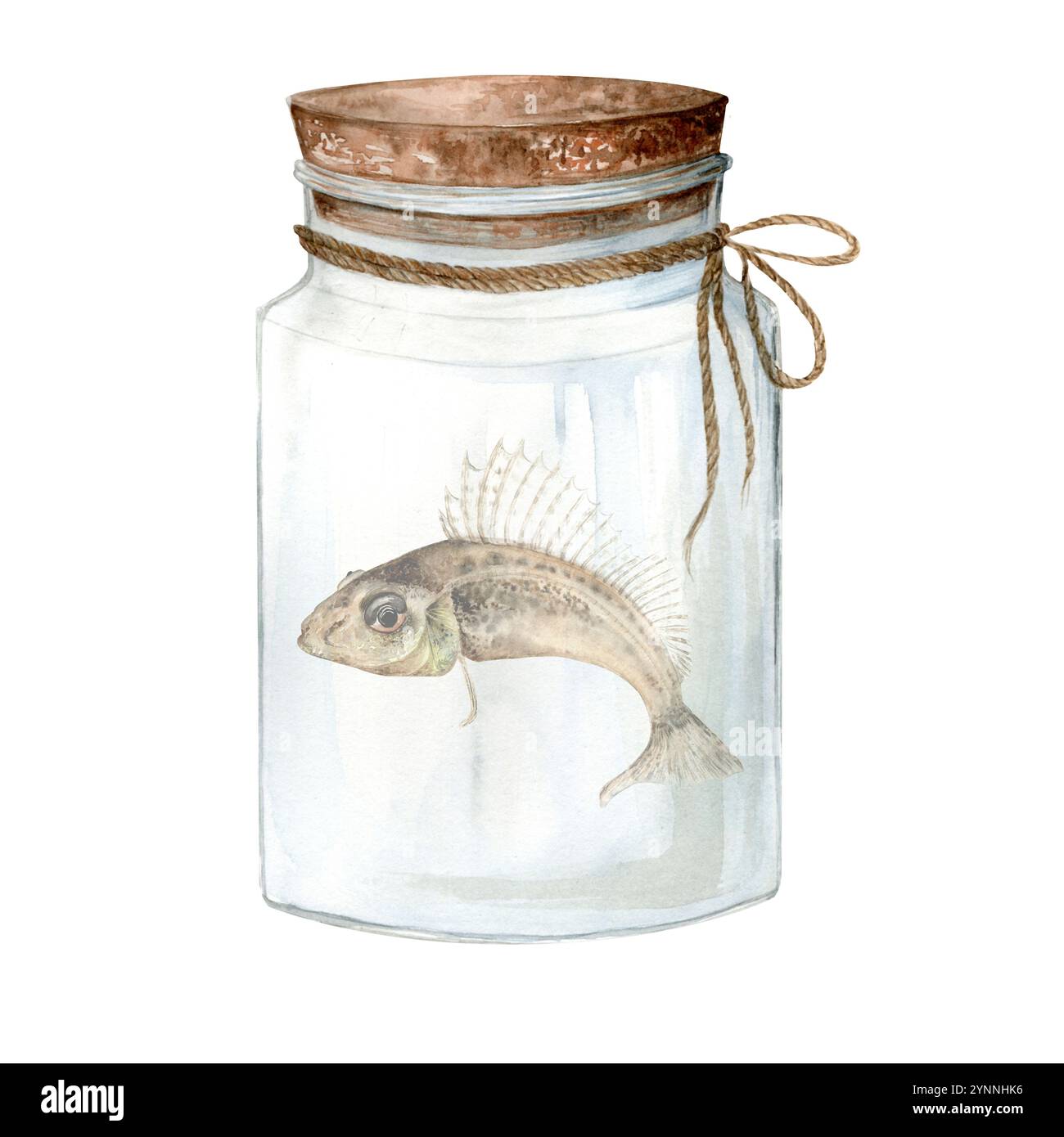 Fish in a can. Watercolor illustration in pastel colors for nautical ...