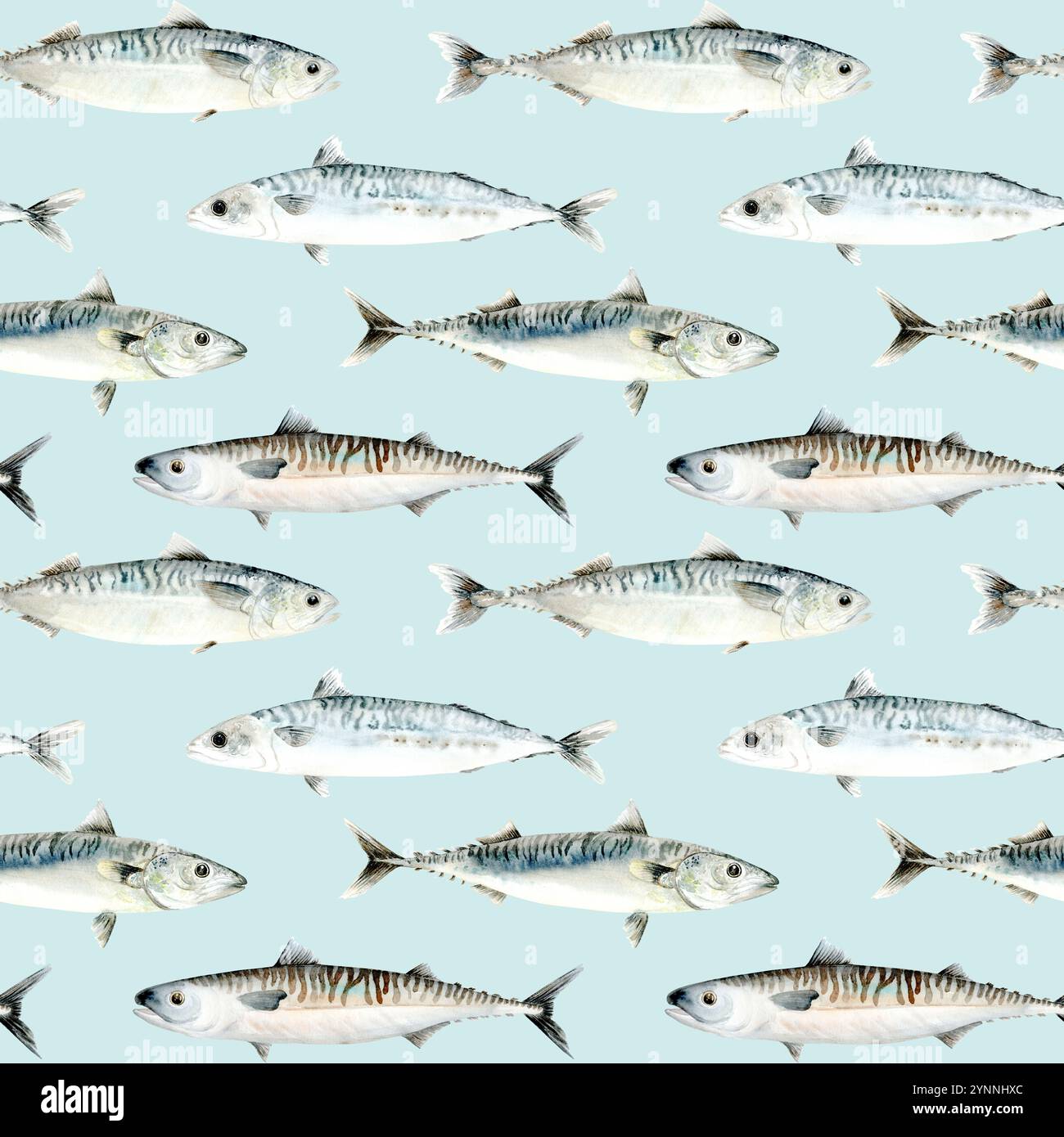 Mackerel Fish. Seamless pattern. Illustration hand drawn in watercolor ...