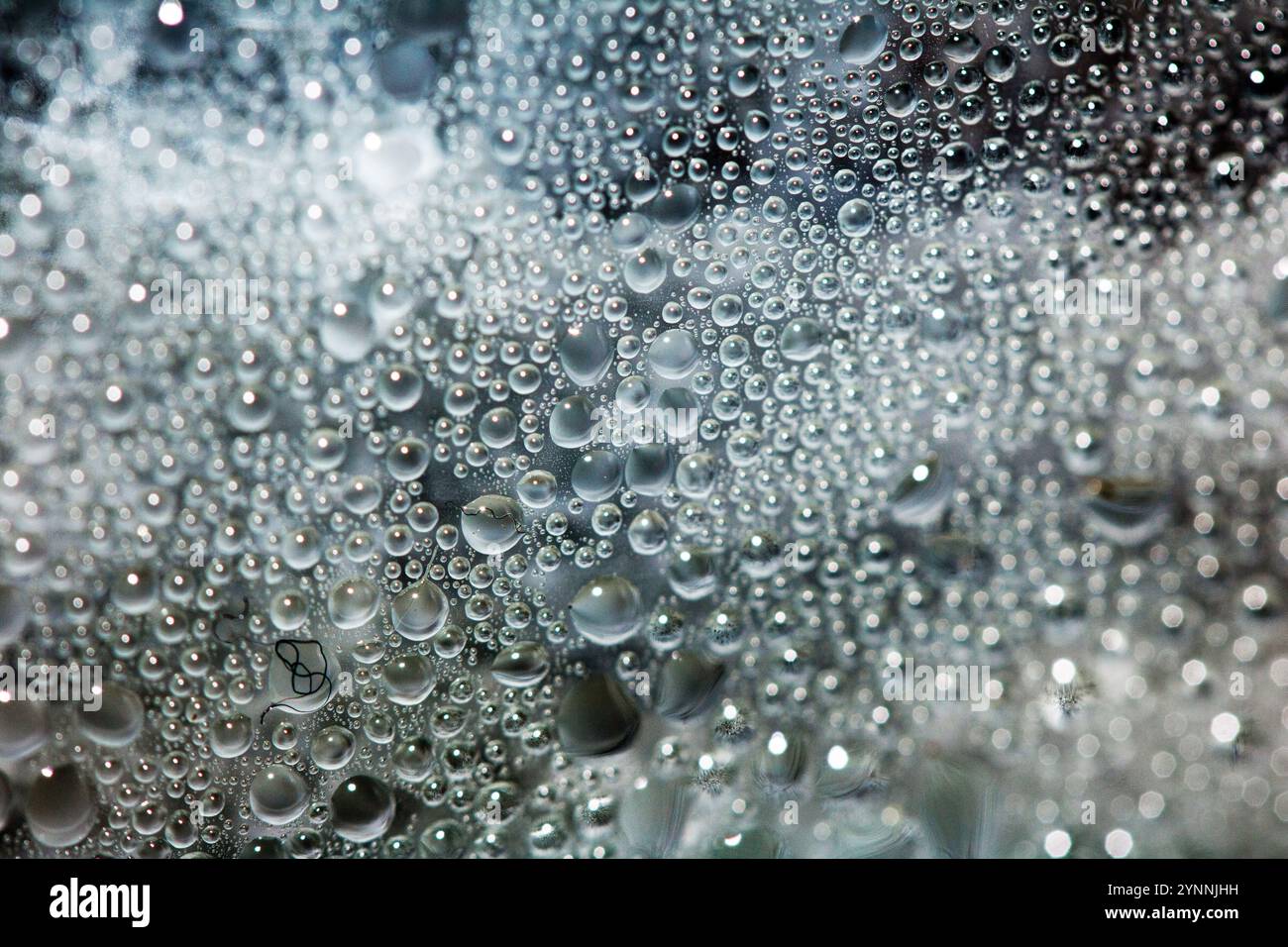 CLose Up of Condensation Bubbles and Marks on A Window Water Background ...