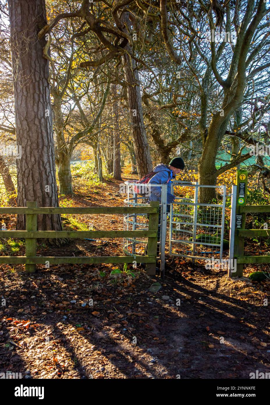 Man walking through gate hi-res stock photography and images - Alamy