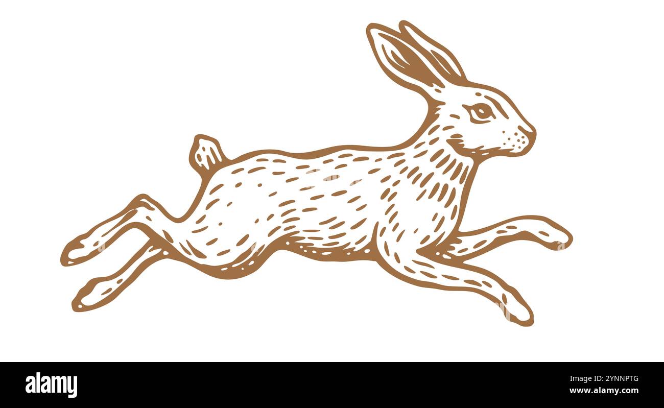 Print rabbit Cut Out Stock Images & Pictures - Alamy