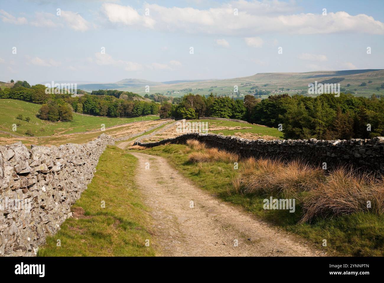 The Pennine Way track as it descends into Wensleydale, in the Yorkshire ...