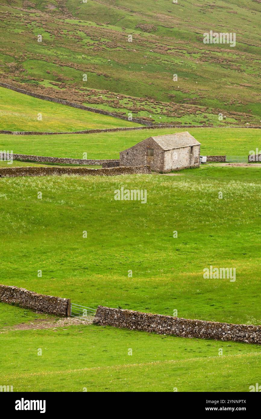 Barn and farm fields in Stockdale, in the Yorkshire Dales, UK Stock ...