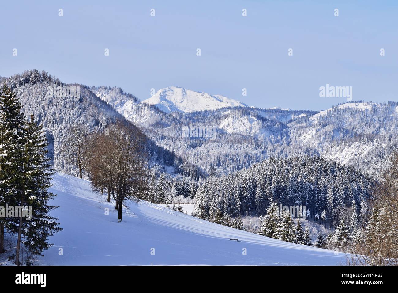 December winter hi-res stock photography and images - Alamy