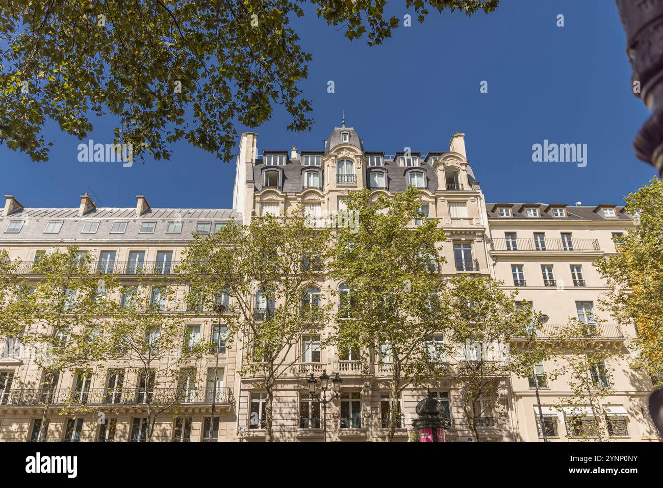Street photography of Paris, France Stock Photo - Alamy