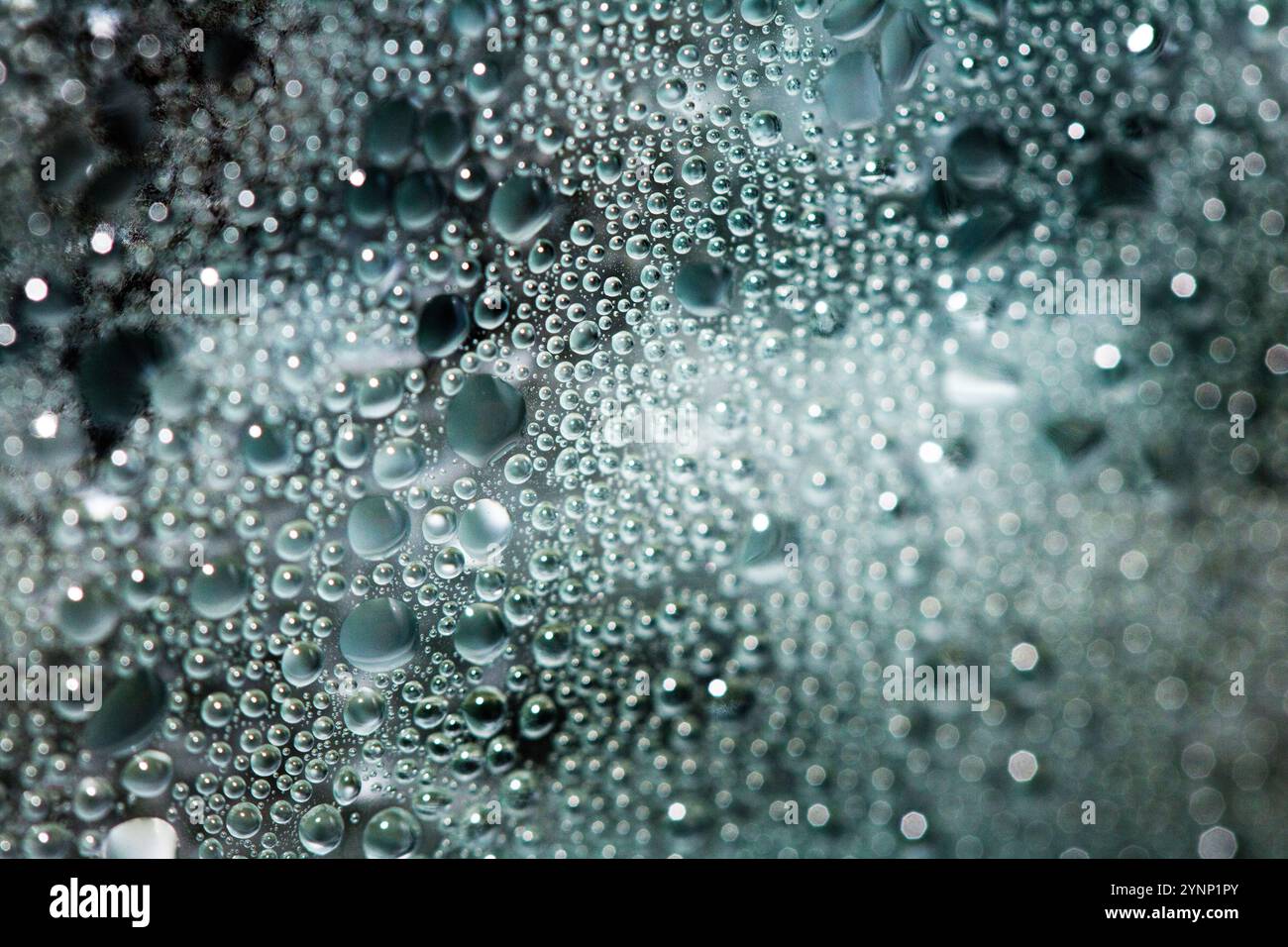 CLose Up of Condensation Bubbles and Marks on A Window Water Background ...