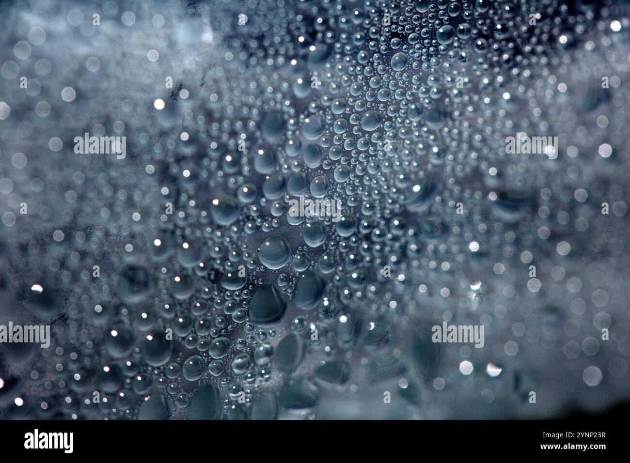 CLose Up of Condensation Bubbles and Marks on A Window Water Background ...