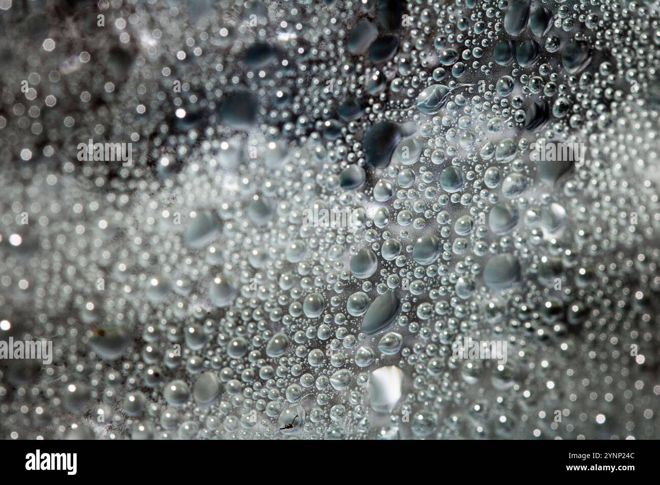 CLose Up of Condensation Bubbles and Marks on A Window Water Background ...