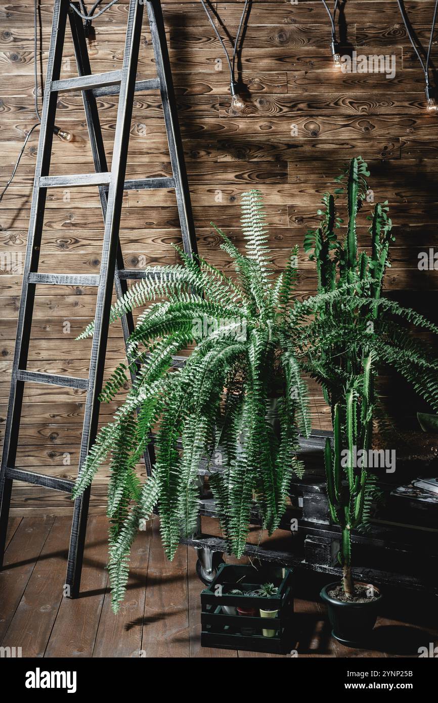 Composition of tropical leaves Stock Photo - Alamy