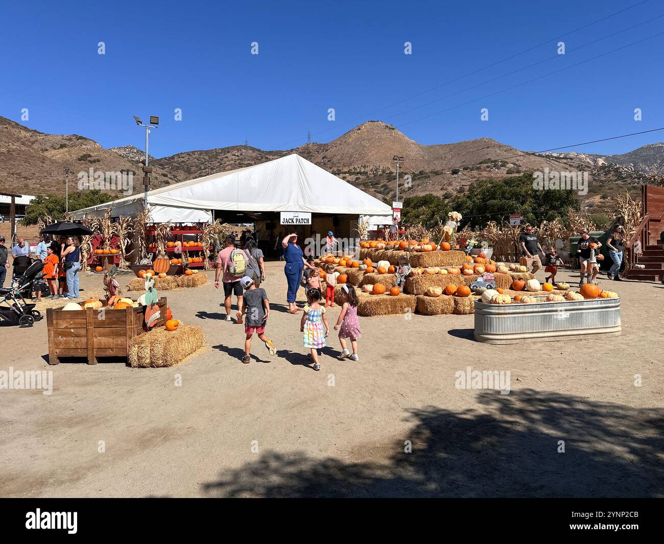 Seasonal adventures pumpkin patch festival. Food stand and rides for ...