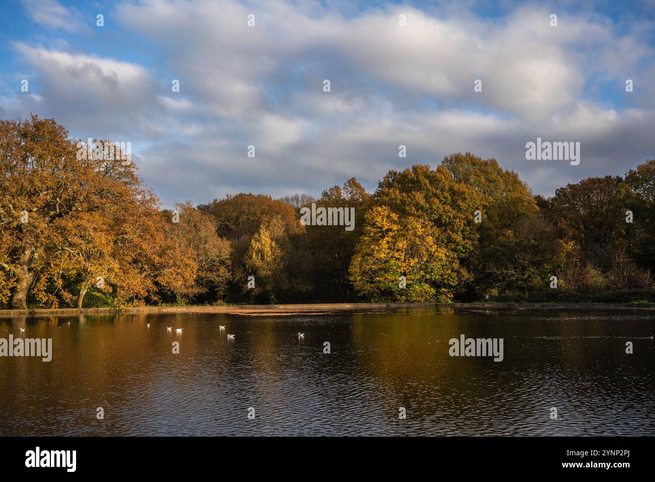 Southampton boating lake hi-res stock photography and images - Alamy