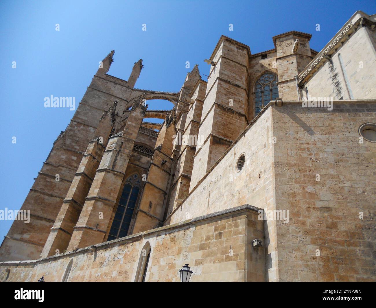The magnificent cathedral stands tall under a clear blue sky ...
