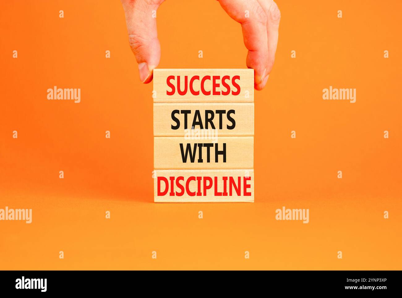 Success starts with discipline symbol. Concept words Success starts with discipline on beautiful ...