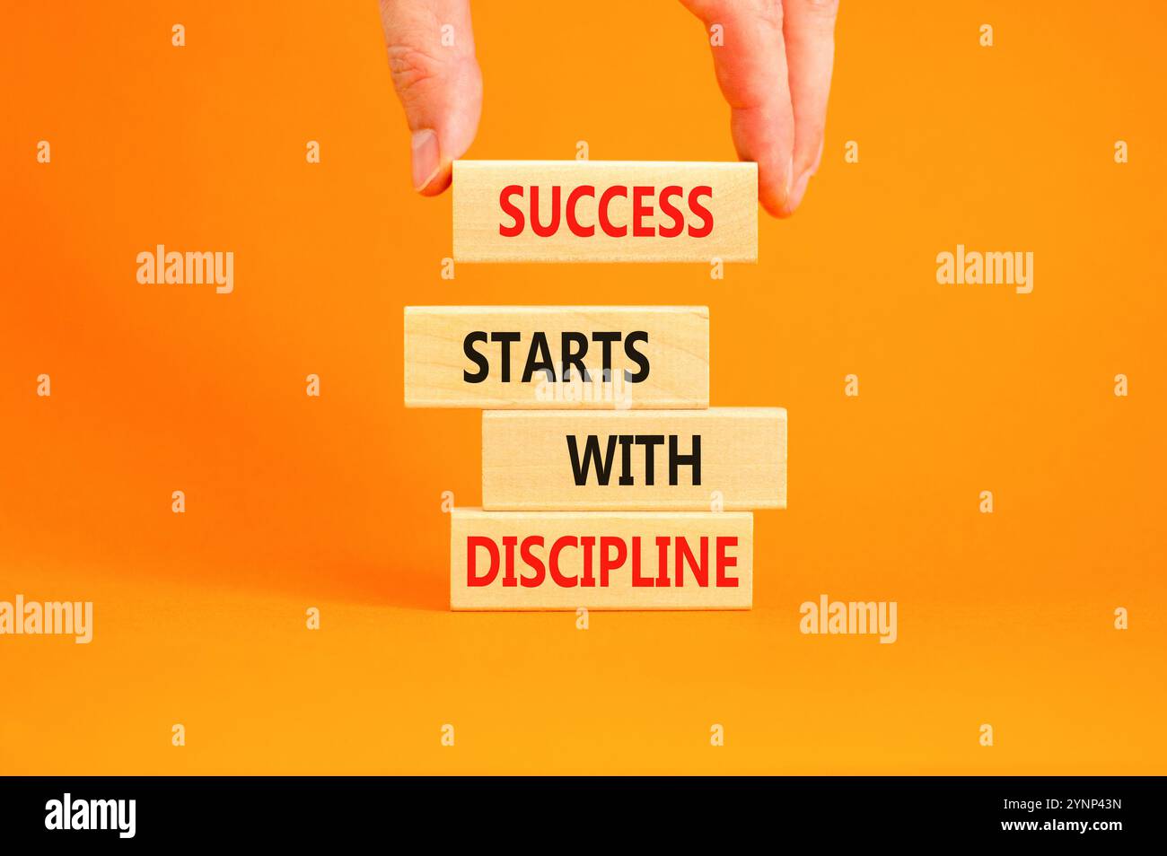 Success starts with discipline symbol. Concept words Success starts with discipline on beautiful ...