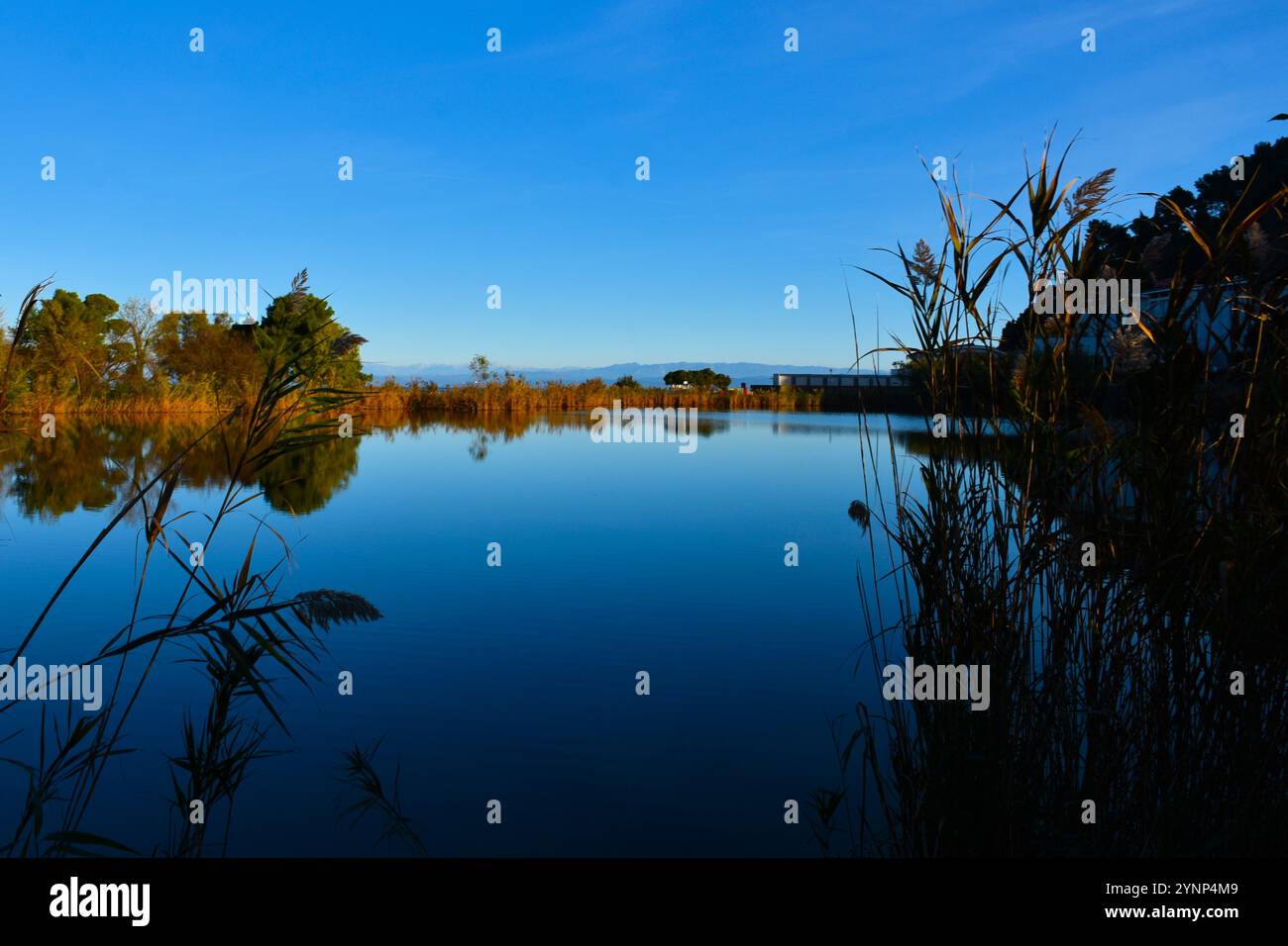 Lake at Fiesa in Istria and Littora region, Slovenia Stock Photo - Alamy