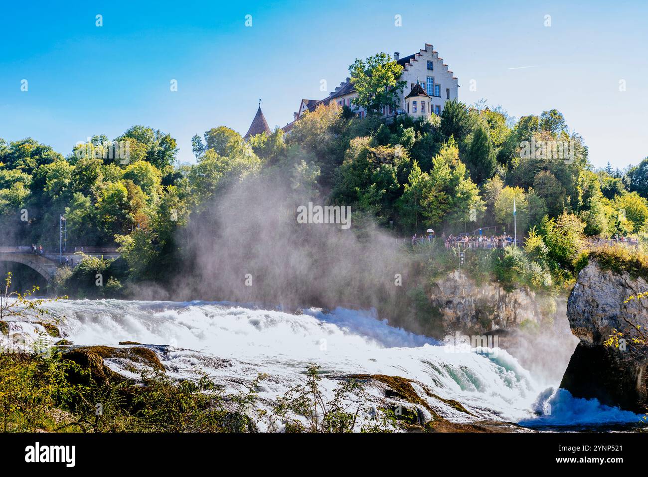 Rhine Falls and Laufen Castle. Rhine Falls is a waterfall located in ...