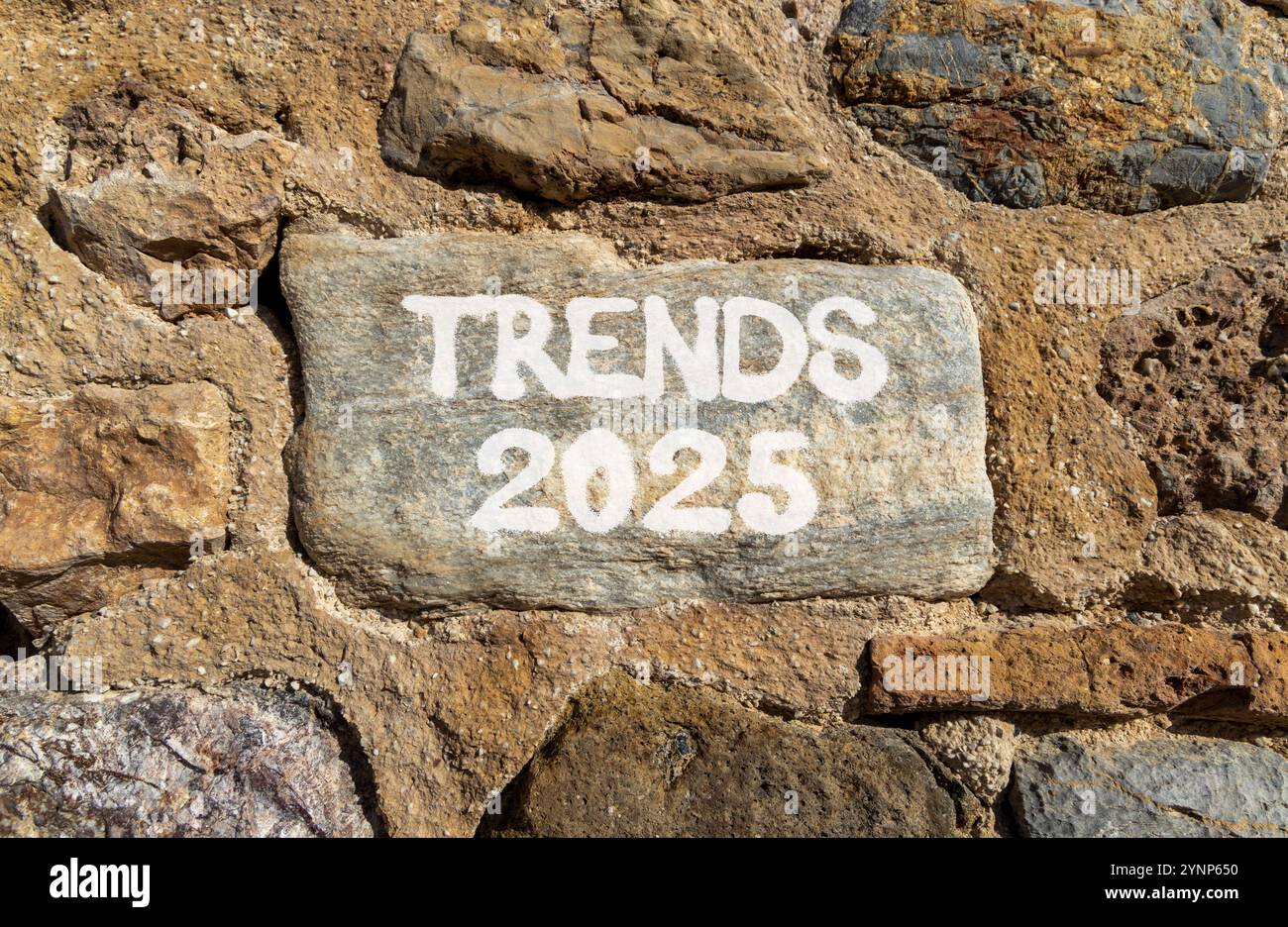 Planning trends 2025 new year symbol. Concept words Trends 2025 on ...