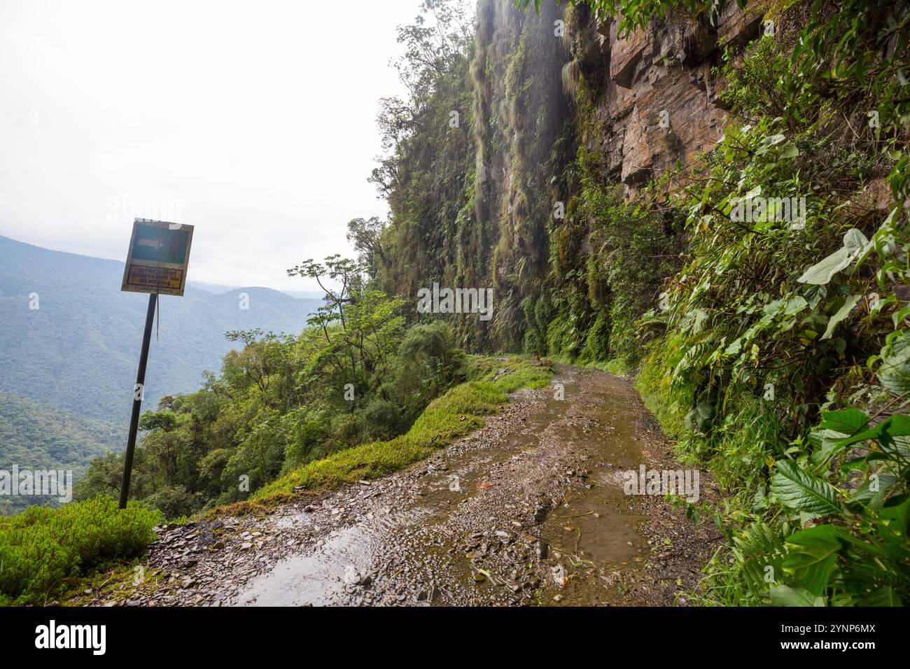 Famous death road, the "Camino de la Muerte", in the Bolivian Andes ...