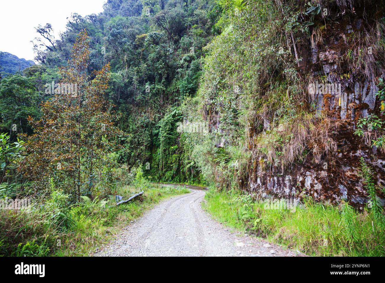 Famous death road, the "Camino de la Muerte", in the Bolivian Andes ...