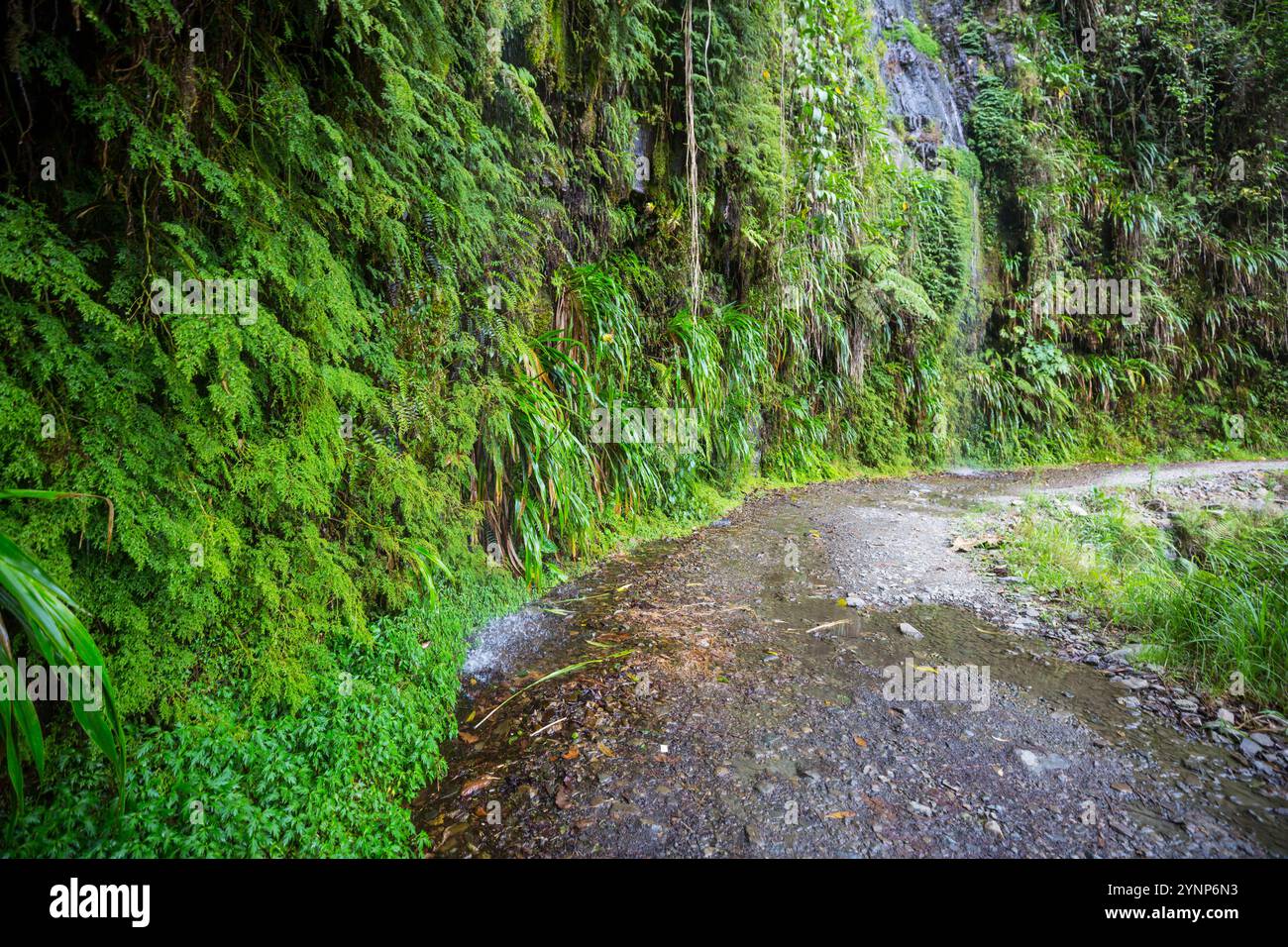 Famous death road, the "Camino de la Muerte", in the Bolivian Andes ...