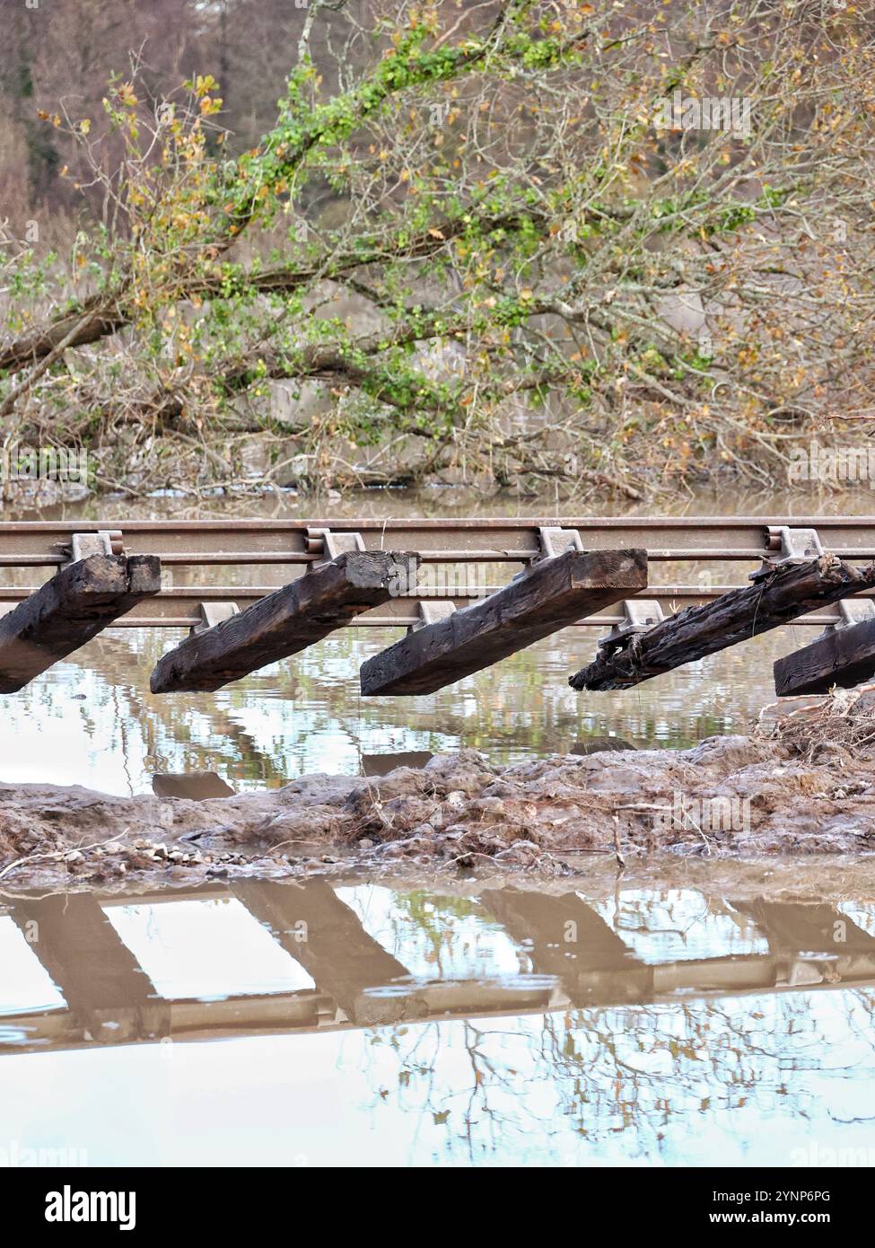 Stover Canal, Newton Abbot, Devon, UK. 26 November, 2024. UK Weather ...