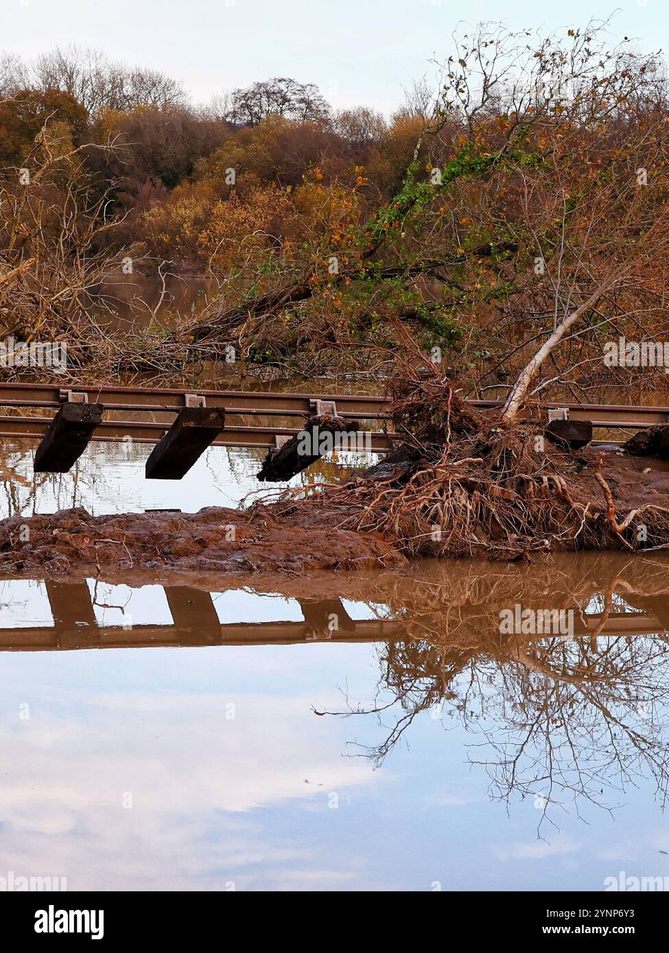 Stover Canal, Newton Abbot, Devon, UK. 26 November, 2024. UK Weather ...