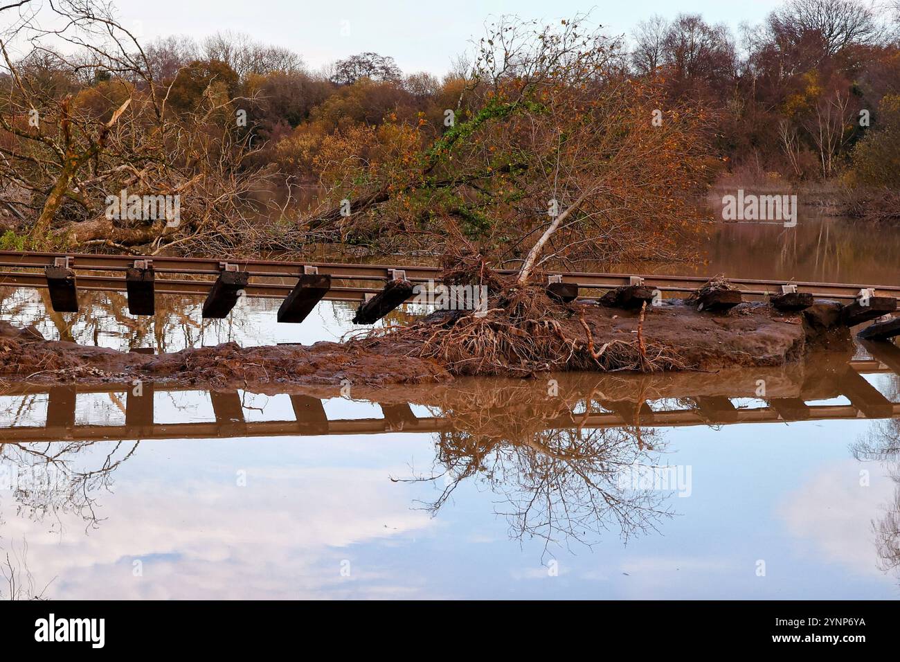 Stover Canal, Newton Abbot, Devon, UK. 26th Nov, 2024. UK Weather ...