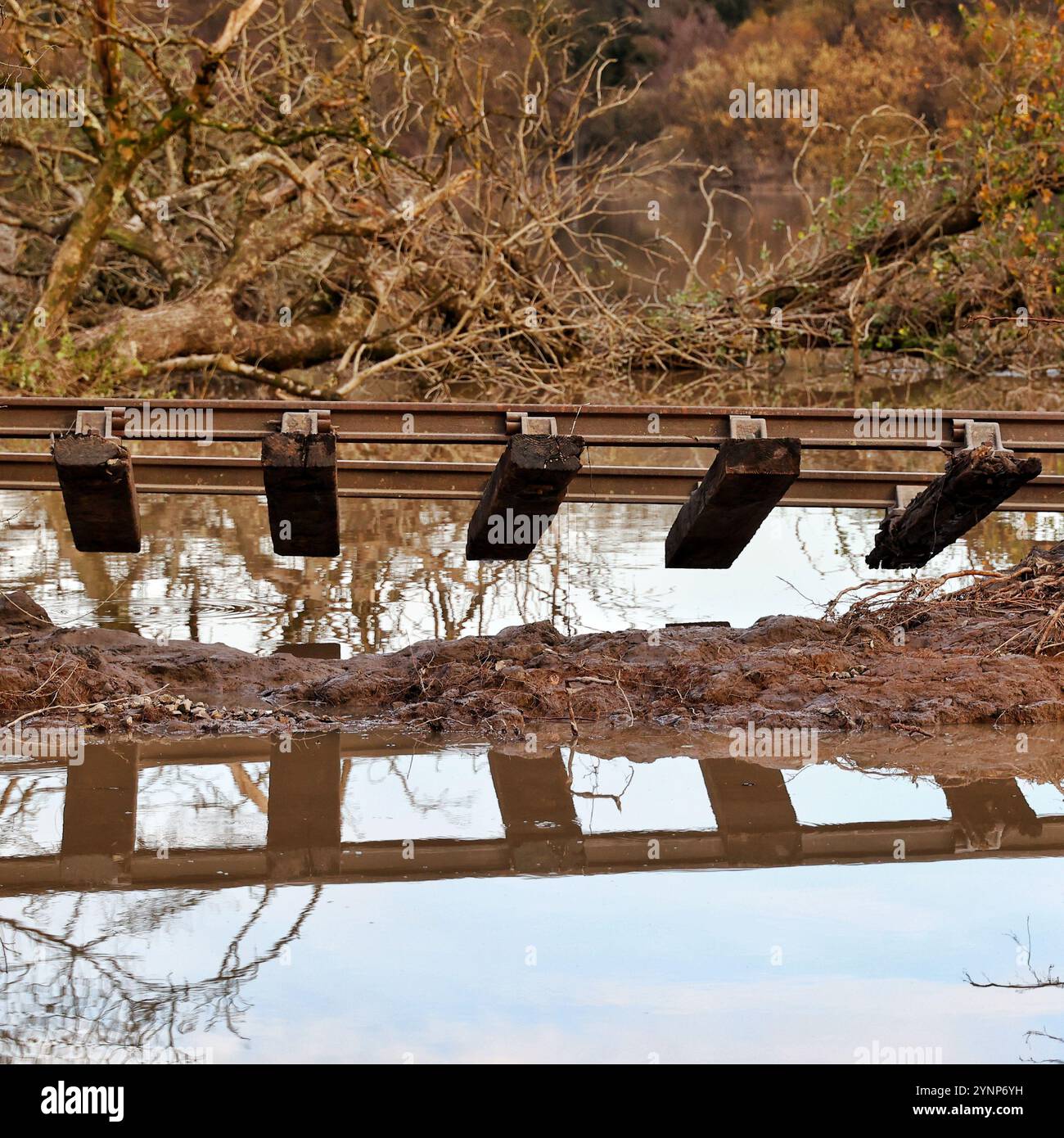 Stover Canal, Newton Abbot, Devon, UK. 26 November, 2024. UK Weather ...
