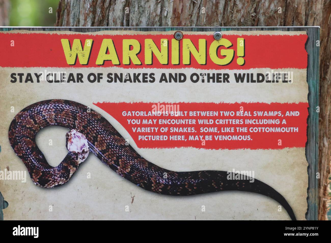 snake warning sign Stock Photo - Alamy