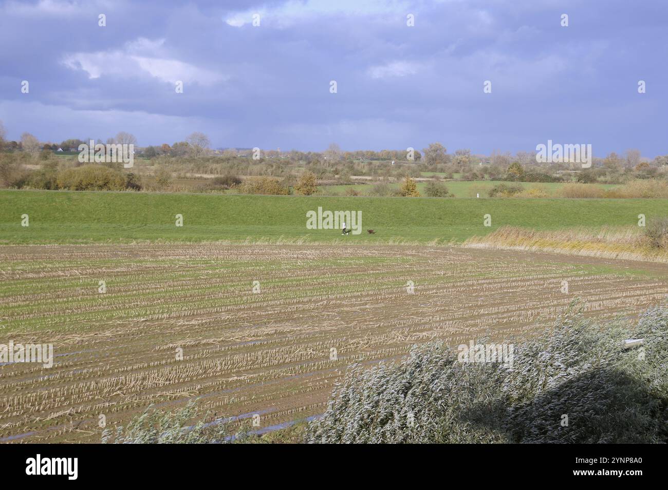 Sony netherlands hi-res stock photography and images - Alamy