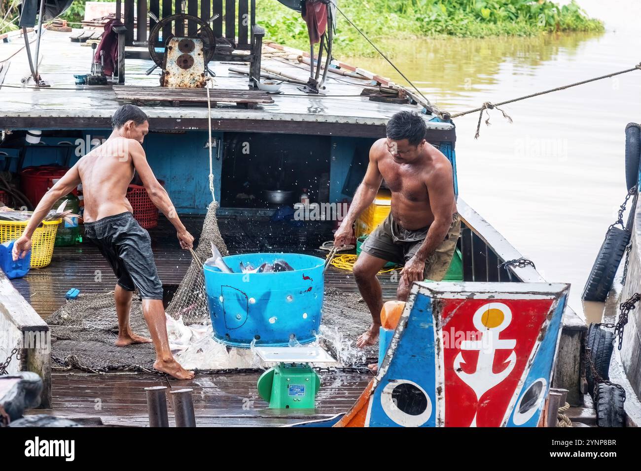 Scenes showing the local community of Tiger Island from hauling fish ...