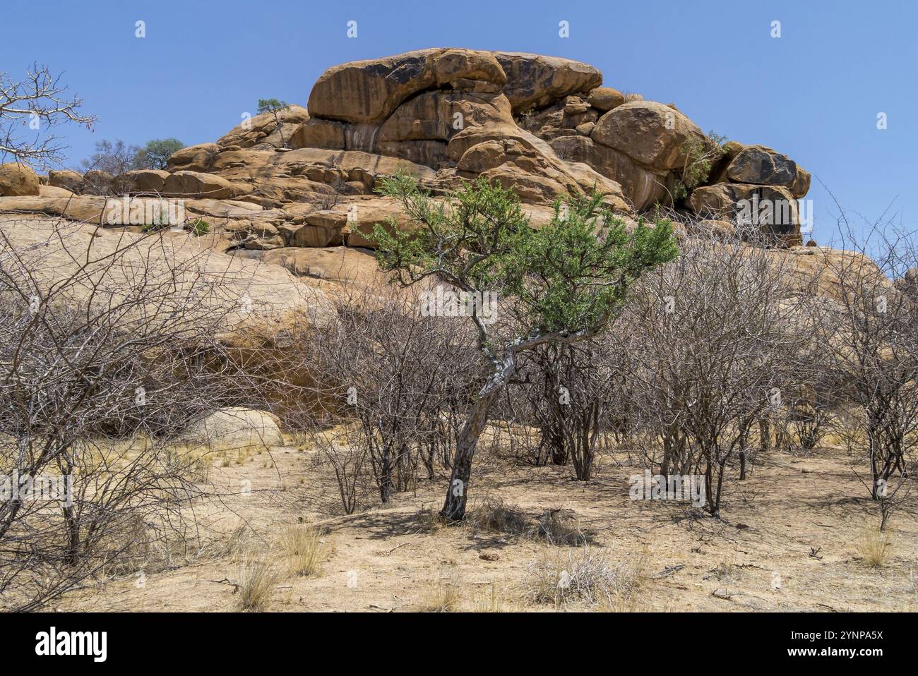 Rocky landscape, Erongo Mountains, Namibia, Africa Stock Photo - Alamy