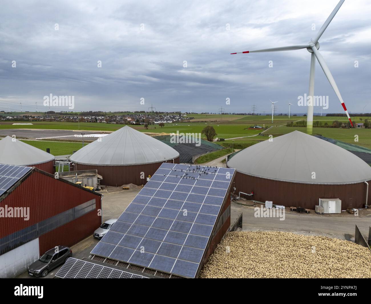 Biogas plant produces gas from various biomass, here the sugar beet ...