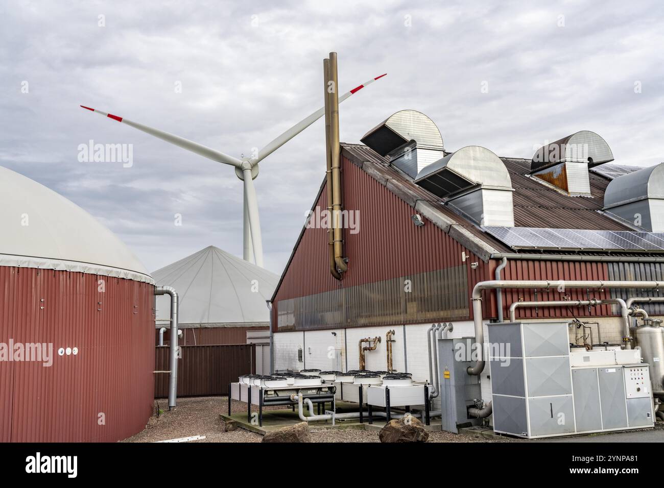 Biogas plant produces gas from various biomass, electricity is ...
