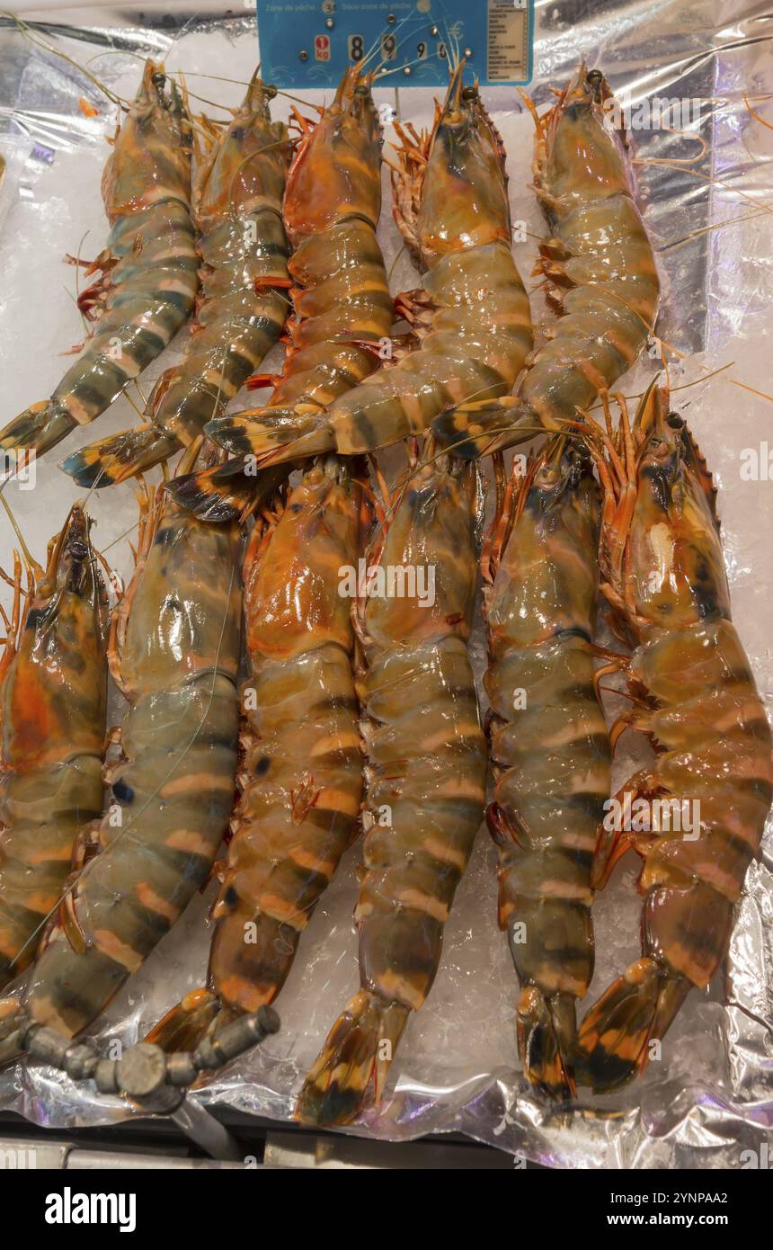 Prawns spread on ice, frozen presentation, raw prawns, fish market ...