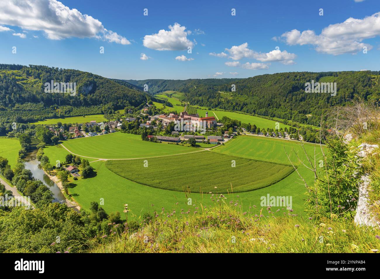 Archabbey of St Martin at Beuron (lat. Archiabbatia Sancti Martini ...