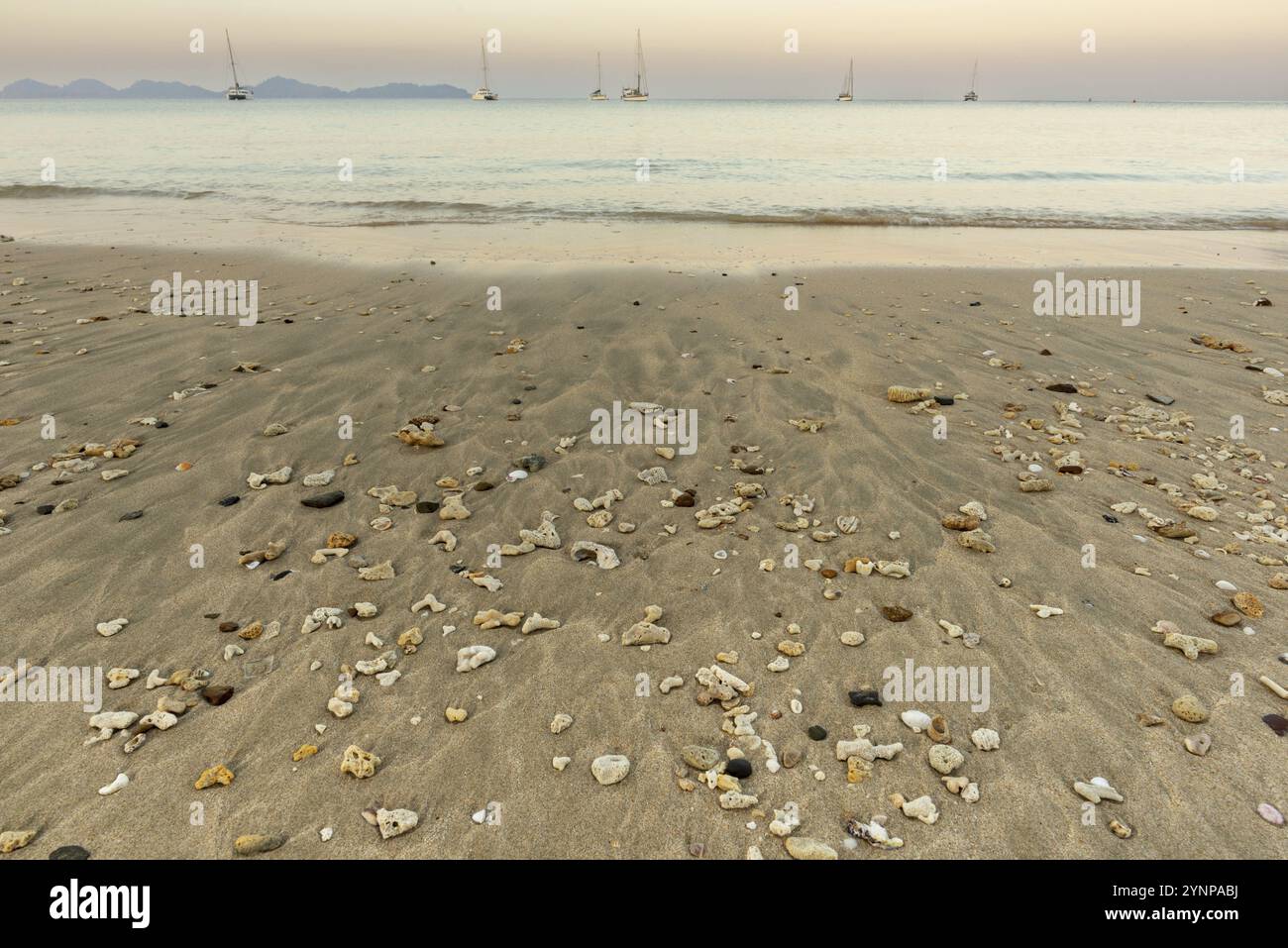 Sunrise on the shell-lined Charlie Beach, Koh Mook Island, Andaman Sea ...